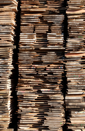 British Elm Sawn Timber - Vastern