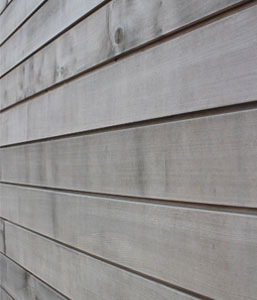 Brimstone Sycamore Cladding - Vastern