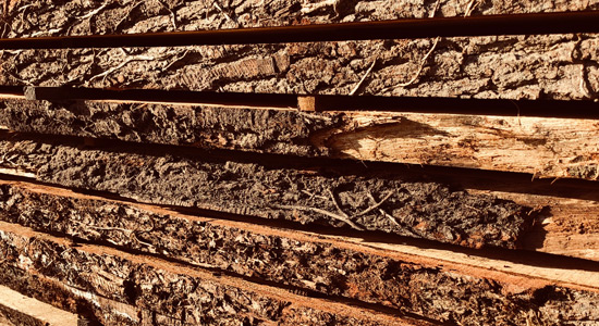 Prime/First grade oak - Vastern