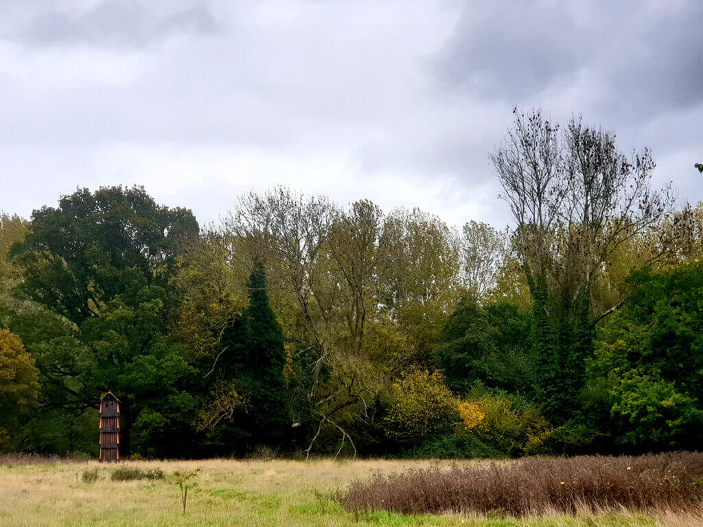 Wildlands Unveils Low-Carbon Wildlife Tower Built With British Timber ...